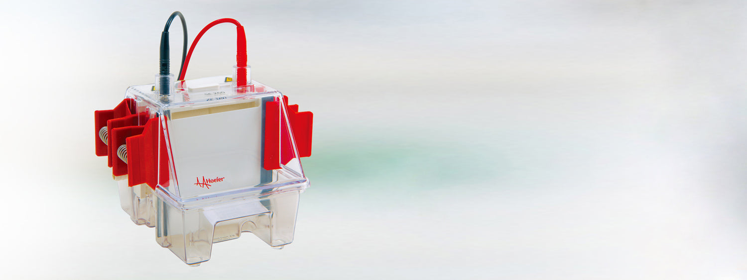 Welcome to Hoefer, Inc. – Hoefer Inc.