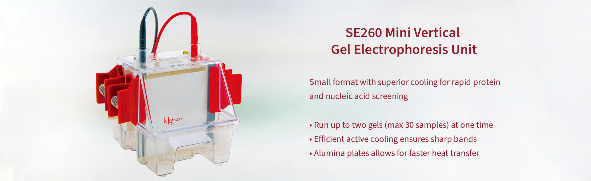 Welcome to Hoefer Inc.