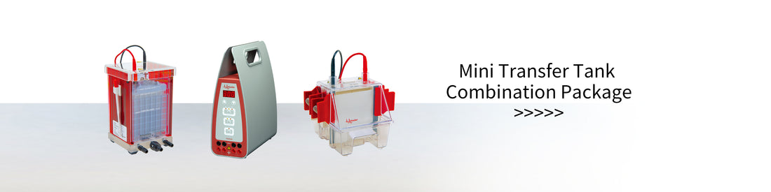 Welcome to Hoefer Inc.