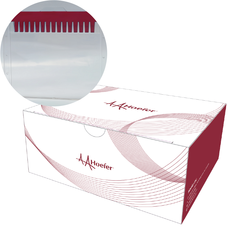 Mighty Small precast gels, 12 wells (10 pcs) – Hoefer Inc.